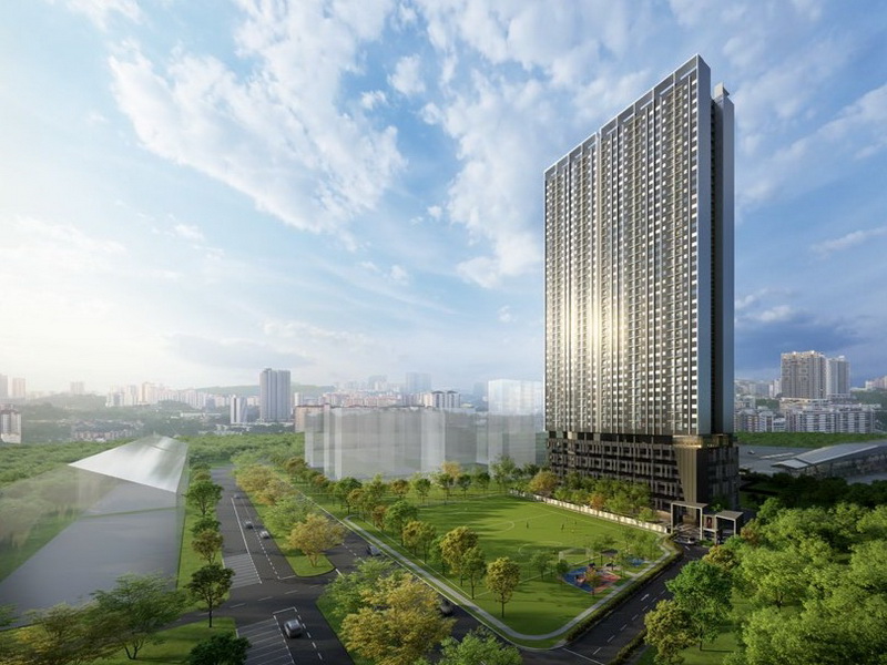 Projects | Beaks Development